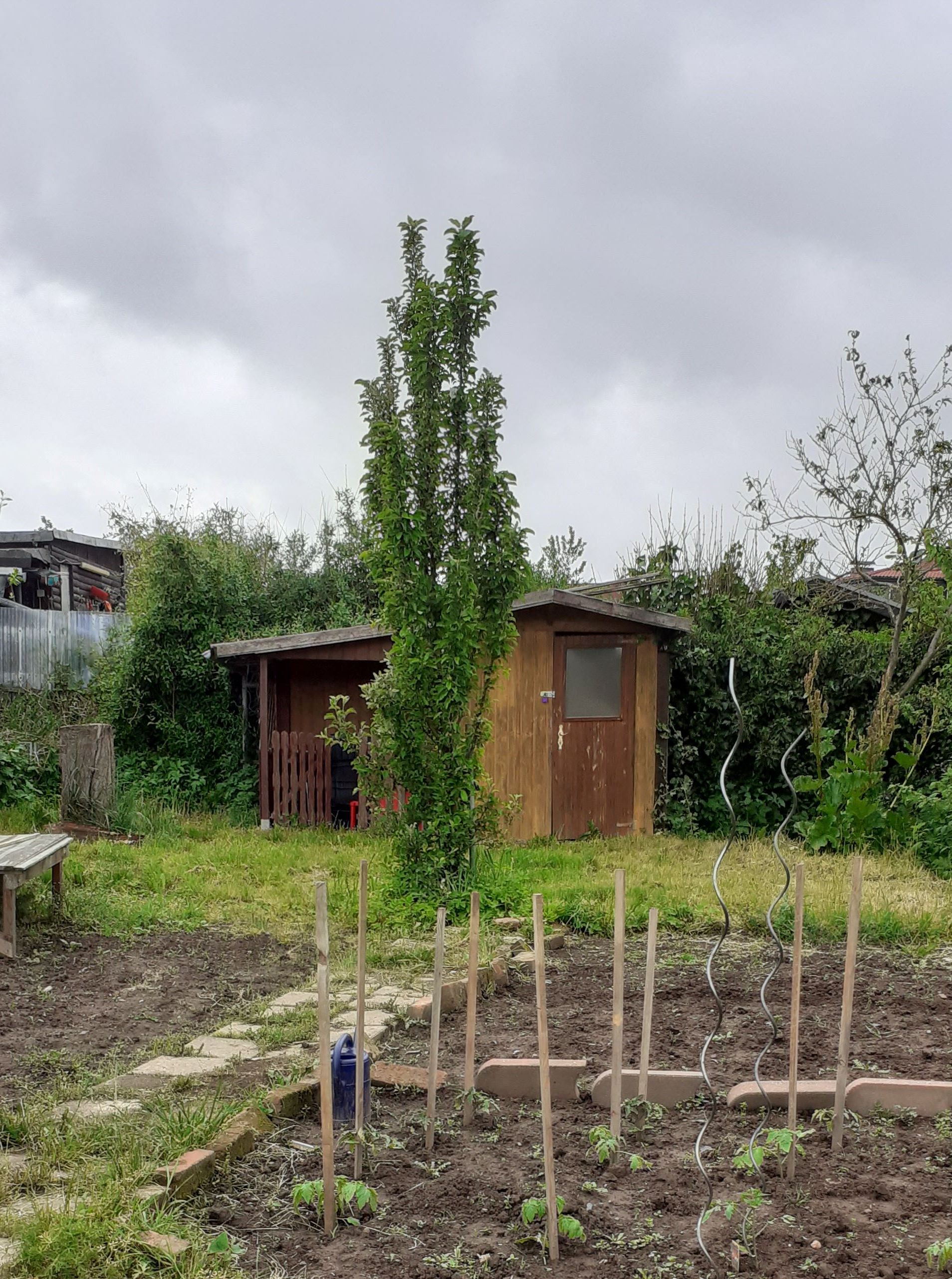 Laube ca. 7,6 m² Kleingartengröße ca.196 qm, Wasseranschluß vorhanden ...